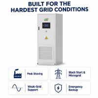 China Factory Direct Wholesale Custom 261kWh 125kW BESS Cabinet with CE UN38.3 Certification for Industrial for sale