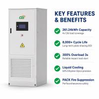 China Factory Direct Wholesale Custom 261kWh 125kW BESS Cabinet with CE UN38.3 Certification for Industrial for sale