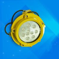 China Gas Station Offshore Oil Industry Light IP65 Explosion Proof Led 60w for sale