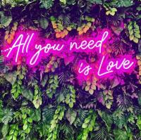China Clear Acrylic Led Neon Letters Sign Light Decoration Electronic Signs for sale