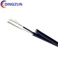China SIHF Dingzun Cable 2 Cores 2 X 0.5mm2 Silicone Insulation And Sheath Cable 200C High Temperature Cable for sale