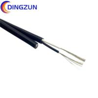 China SIHF Dingzun Cable 2 Cores 2 X 0.5mm2 Silicone Insulation And Sheath Cable 200C High Temperature Cable for sale
