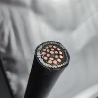 China Instrumentation Cable 300/500V 20Cores CU/MGT/XLPE/OS/FR/LSZH/GSWA/LSZH 20х2,5 for sale