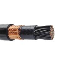 China Heavy Duty 61 Cores Shielded Control Cable Reliable Cable For Harsh Environments for sale
