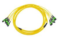 China 12 Cores MPO Fiber Patch Cable 0.35dB IL for Data Center Cabling Interconnection for sale