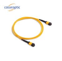 China MTP MPO Fiber Optic Trunk Cable 12 Fiber Low Loss for 40G 100G Data Center for sale