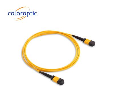 China MTP MPO Fiber Optic Trunk Cable 12 Fiber Low Loss for 40G 100G Data Center for sale