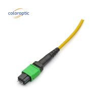 China MTP MPO Fiber Optic Trunk Cable 12 Fiber Low Loss for 40G 100G Data Center for sale