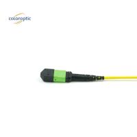 China 1m Multi Fiber Push On MPO Patch Cord With PVC Jacket Aqua Color for sale