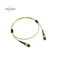 China 12 Core OM5 MPO Patch Cord Female to Female PVC Jacket 3mm Polarity B for 40G 100G 400G for sale
