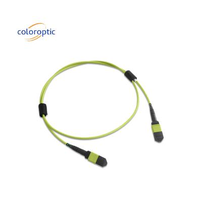 China 12 Core OM5 MPO Patch Cord Female to Female PVC Jacket 3mm Polarity B for 40G 100G 400G for sale