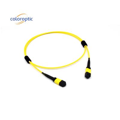 China MTP MPO Patch Cable Singlemode 12 Fiber Type B Female to Female APC 8° for sale