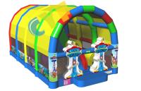 China Customized 6x12M Paw Patrol Jumping Castle Colorful Bouncer Combo With Roof for sale