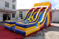 China Colorful 0.55mm Plato PVC Inflatable Dry Slide For Outdoor Flame Retardant for sale