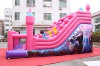 China Commerial Grade Frozen Bouncer 0.55mm PVC Inflatable Combo For Outdoor Event for sale
