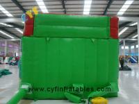 China Commercial PVC Kids Jumpers Bounce House Backyard Inflatable Slides for sale