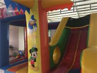 China PVC Tarpaulin 3 In 1 Inflatable Bouncer Combo Multi Color Widely Placed In Parks for sale