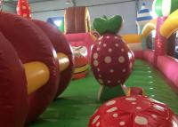 China Kids Candy House Princess Bouncy Castle , Exquisite Blow Up Jumping Castle for sale