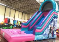 China PVC Tarpaulin Commercial Snow Inflatable Dry Slide Frozen Bouncer Jumping Slide for sale