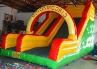 China Custom Mixed Color Big Children Inflatable Dry or Wet Slide Bouncer Slide Inflatable for sale