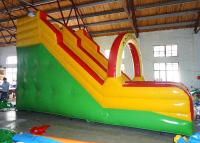 China Custom Mixed Color Big Children Inflatable Dry or Wet Slide Bouncer Slide Inflatable for sale