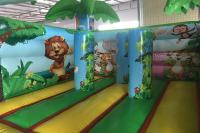 China Zoo Park Small Home Inflatable Bouncer Combo / Backyard Kids Bounce House for sale