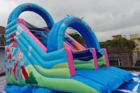 China Animated Comic Character Big Kids Ground Inflatable Dry Slide With Arch Door for sale