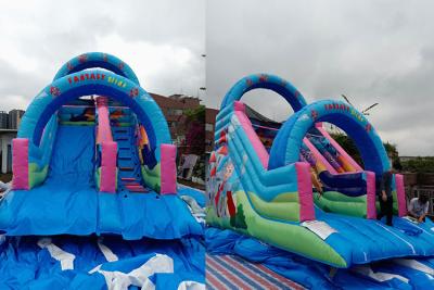 China Animated Comic Character Big Kids Ground Inflatable Dry Slide With Arch Door for sale