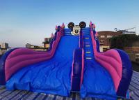China 24 Foot Giant Mickey Mouse / Disney Land Inflatable Dry & Wet Bouncer Castle Slide for sale