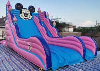 China 24 Foot Giant Mickey Mouse / Disney Land Inflatable Dry & Wet Bouncer Castle Slide for sale