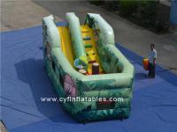 China 7x4m Inflatable Dry Slide for sale