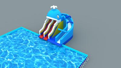 China Garden PVC 0.55mm 6.8×7.8M Commercial Inflatable Water Slides for sale