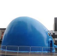 China Kids Entertainment Whale Theme 0.55mm Fun City Inflatables for sale