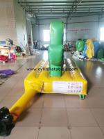 China Waterproof 3×2M Tarpaulin Inflatable Cactus Game Bouncer for sale