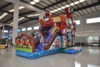 China Tribal Theme 8×5M Inflatable Dry Slide For Backyard for sale