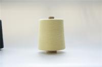 China High Density Textured Para Aramid Yarn 30S/2 with EN 11612 Certification - 500kg MOQ for sale