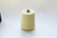China High Density Textured Para Aramid Yarn 30S/2 with EN 11612 Certification - 500kg MOQ for sale