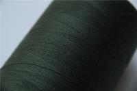 China Meta Aramid Yarn Ne 40s with 400°C Heat Resistance and High Abrasion Protection for Industrial Applications for sale