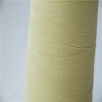China Para Aramid Sewing Thread NE 20s/3 - High Tenacity Fire-Resistant Industrial Thread with EN 11612 Certification for sale