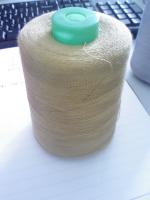 China High Tensile Strength Para Aramid Sewing Thread - 0.2kg Cones, EN 11612 Certified for Industrial Use for sale