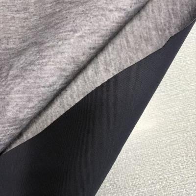 China Premium PTFE Coated Aramid Fabric for Enhanced Flame Retardancy for sale
