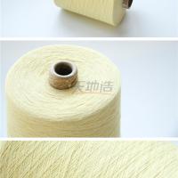 China 100% Para Aramid Yarn Raw Yellow Ne20/2 with 4000CN Strength and Heat Resistance for sale