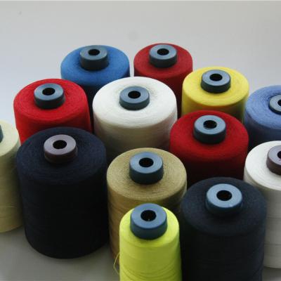 China High Temperature Resistance Meta Aramid Sewing Thread 20/3 with 2500cn Breaking Strength and 3000m Length for sale