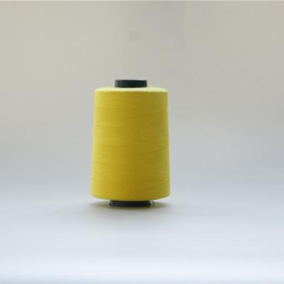 China High Temperature Resistance Meta Aramid Embroidery Thread 40/2 - 6000m Cone Length, 200g per Cone for sale