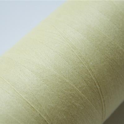 China 100% Para-Aramid Sewing Thread - Ne 30s/3, 200g Cone, High Temperature & Flame Retardant for sale