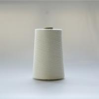 China Meta Aramid Fiber Yarn Ne30/2 with Antibacterial Properties and High Temperature Resistance 200KG MOQ for sale