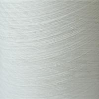 China Meta Aramid Fiber Yarn Ne30/2 with Antibacterial Properties and High Temperature Resistance 200KG MOQ for sale