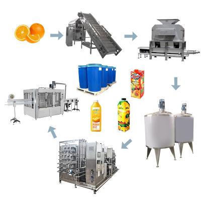 China Complete Citrus Processing Plant | Turnkey Machinery for Orange Juice, Puree & Lemonade for sale