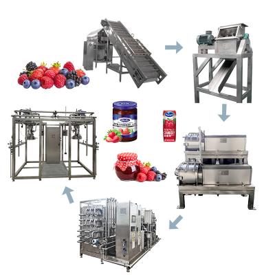 China Complete Blueberry & Berry Processing Line | Turnkey Juice & Puree Factory Equipment for sale