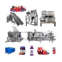 China Industrial Grape Juice Processing Line 1000T/Day Stainless Steel for sale